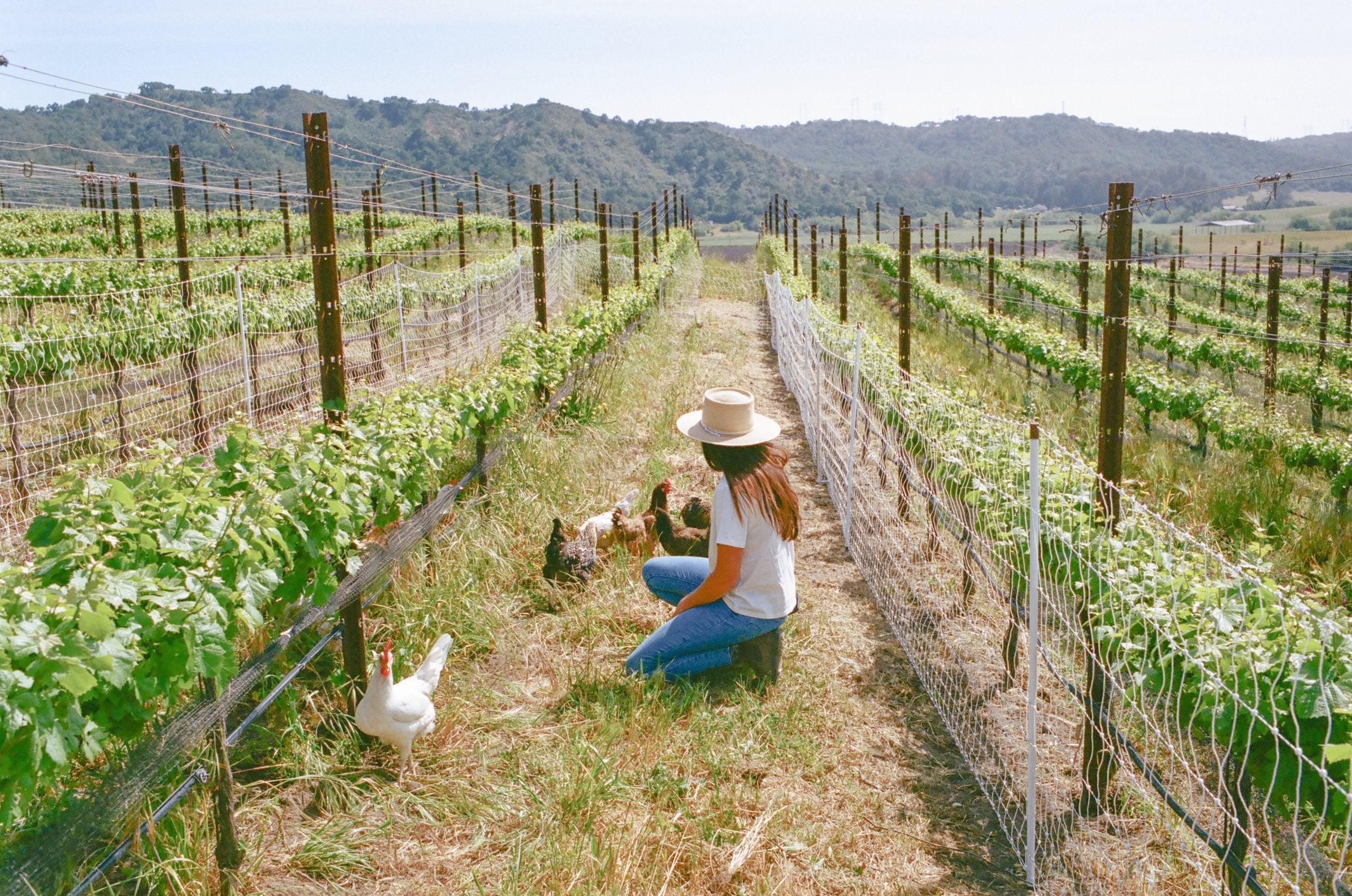 The New Taste of California Wine – Leon & Son Wine and Spirits