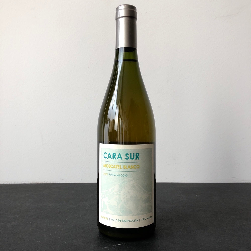 2021 Cara Sur, Moscatel Blanco, Paraje Hilario, Argentina – Leon & Son ...