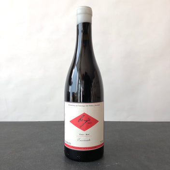 2024 Envinate, Benje Tinto, Tenerife, Spain – Leon & Son Wine and Spirits