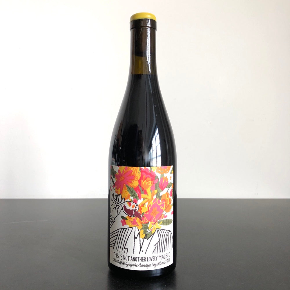 2021 Tinal This Is Not Another Lovely Malbec, Mendoza, Argentina – Leon ...